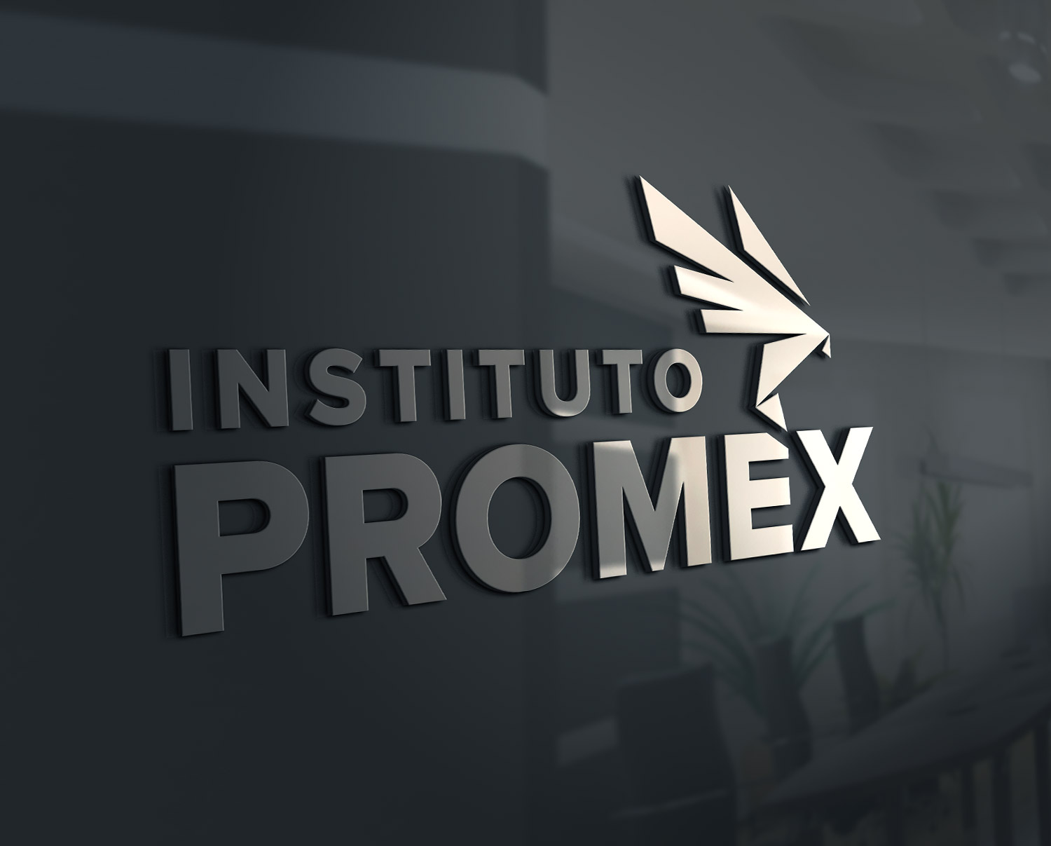 Instituto Promex - Jorge Lobo